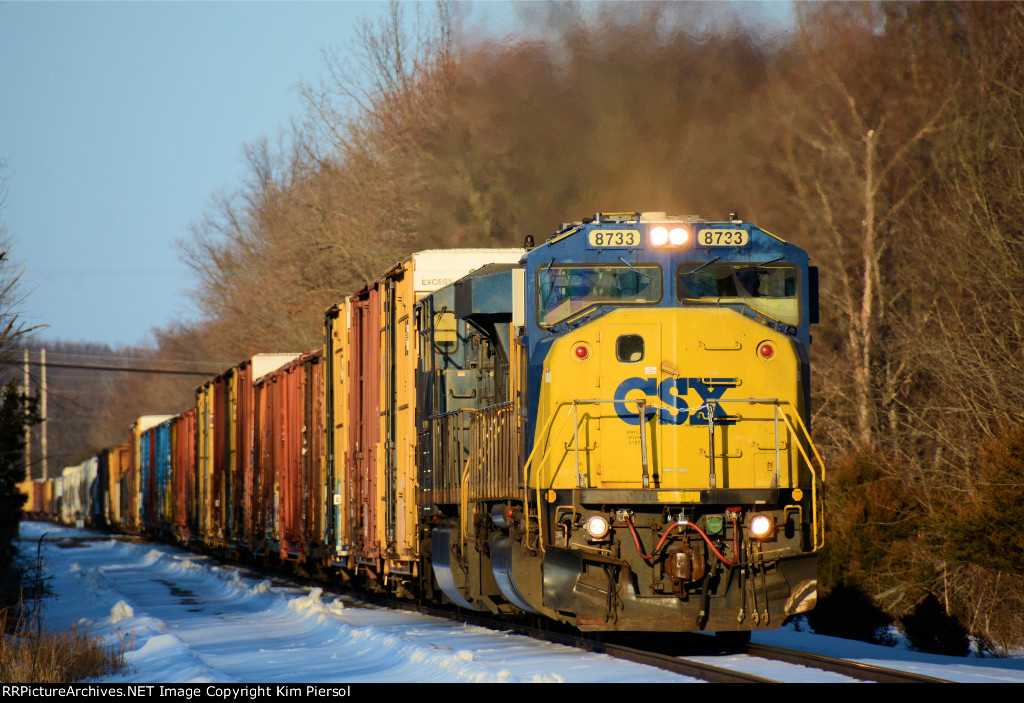 CSX 8733 Q439